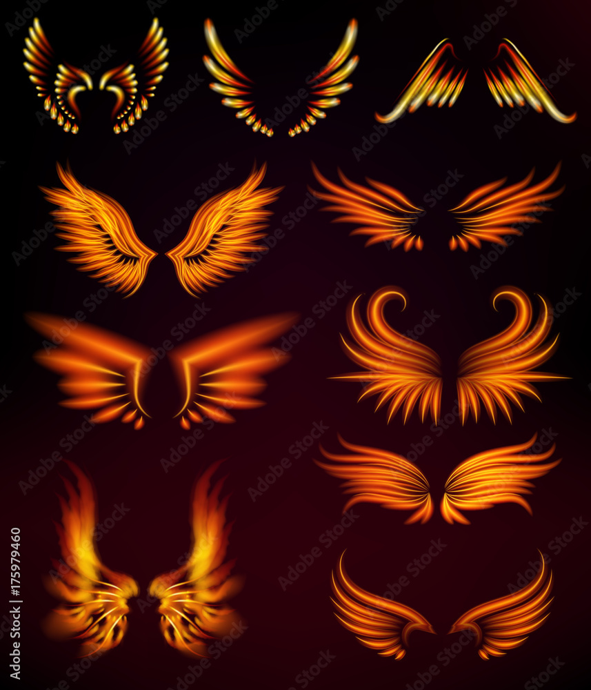 Bird fire wings fantasy feather burning fly mystic glow fiery burn hot ...