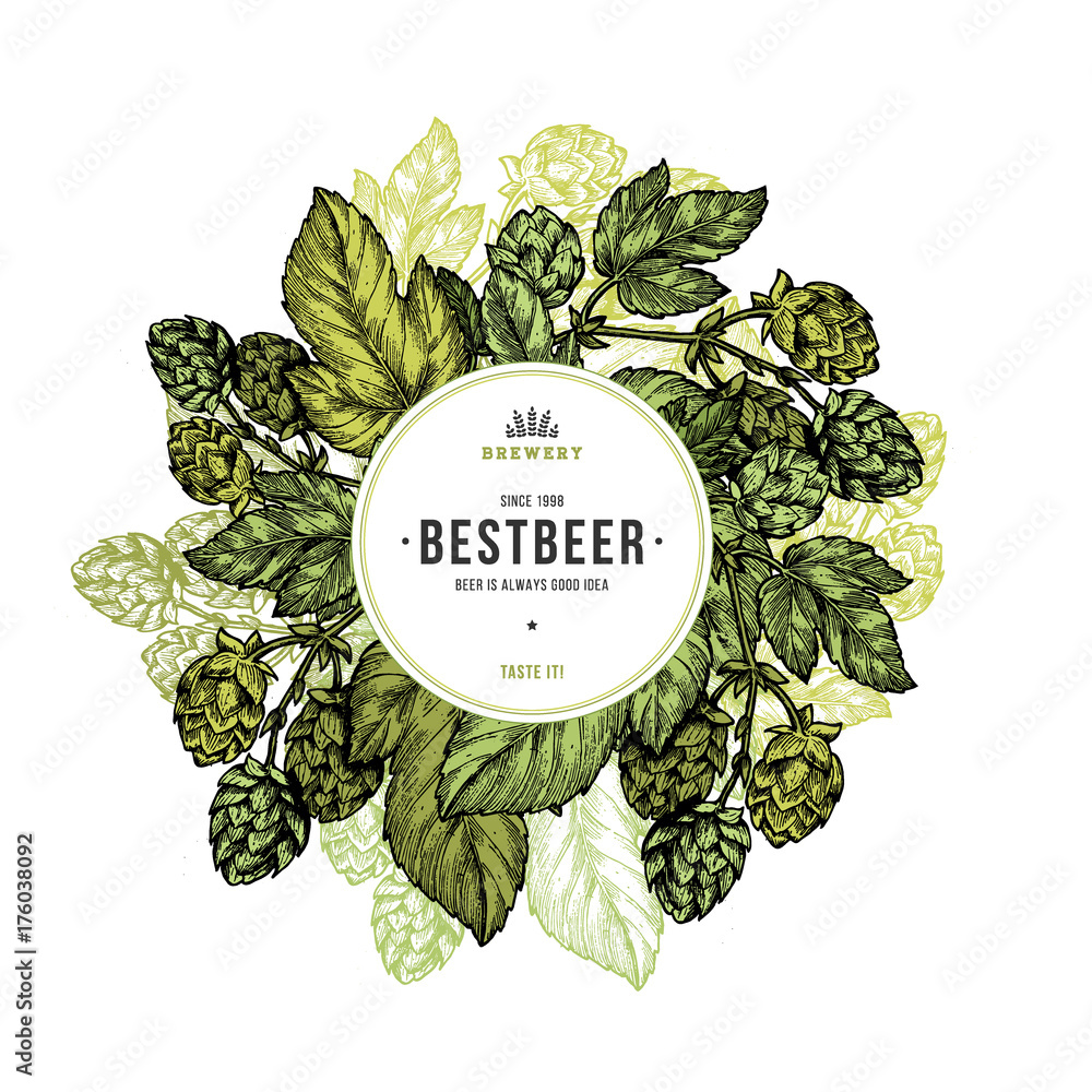 Beer hop illustration. Engraved style illustration. Vintage beer hop ...