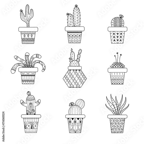 Cactus and succulent zentangle for adult coloring book page.vector ...