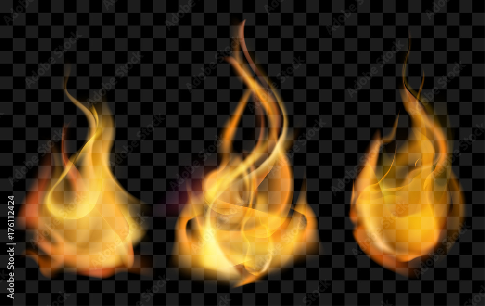 vector realistic fire Stock Vector | Adobe Stock
