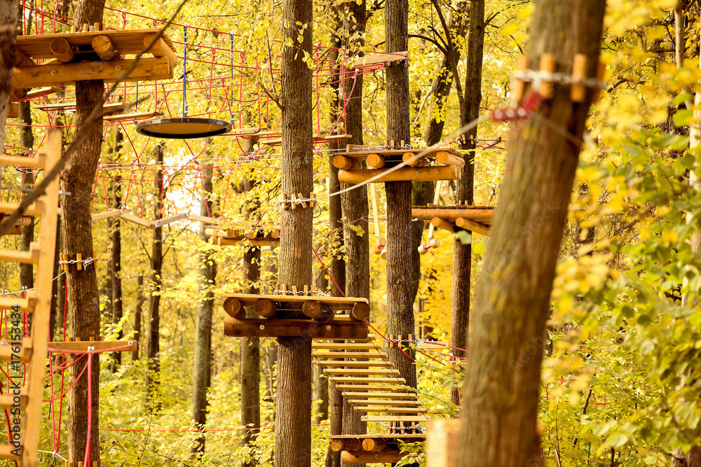 Rope adventure park in the summer forest scenic blue sky scenery ...