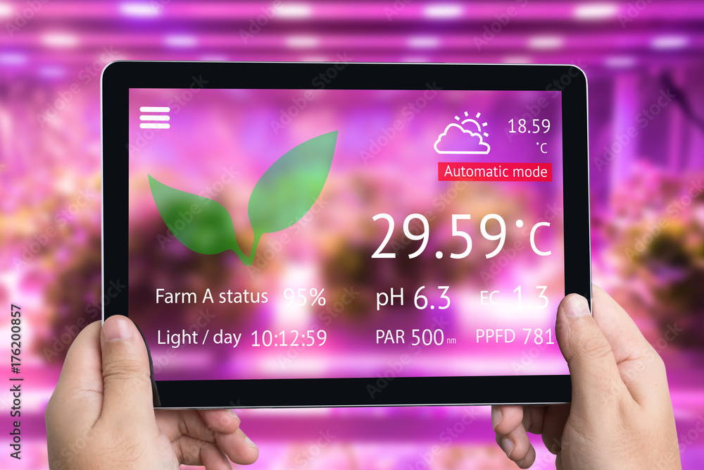 Smart agriculture futuristic indoor farming and Photoperiodism concept ...