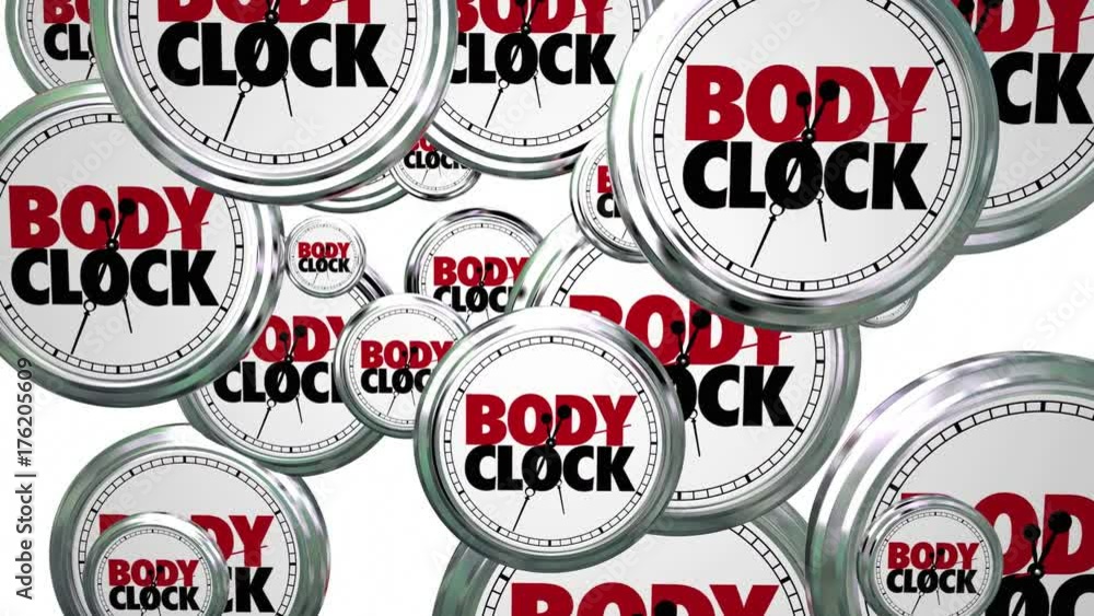 Body Clock Biological Time Countdown Flying Deadline 3d Animation Stock ...