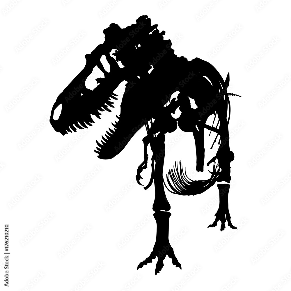 Tyrannosaurus Rex skeleton . Silhouette vector . front view Stock ...