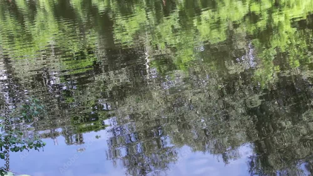 Reflections of branches trees and foliage on the water surface of the ...