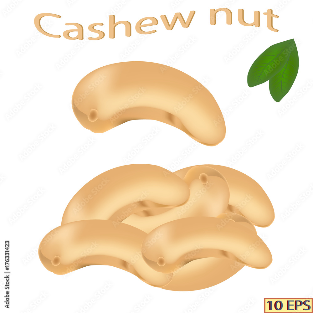 Cashew nuts isolated on white background. The icon of cashew nuts ...
