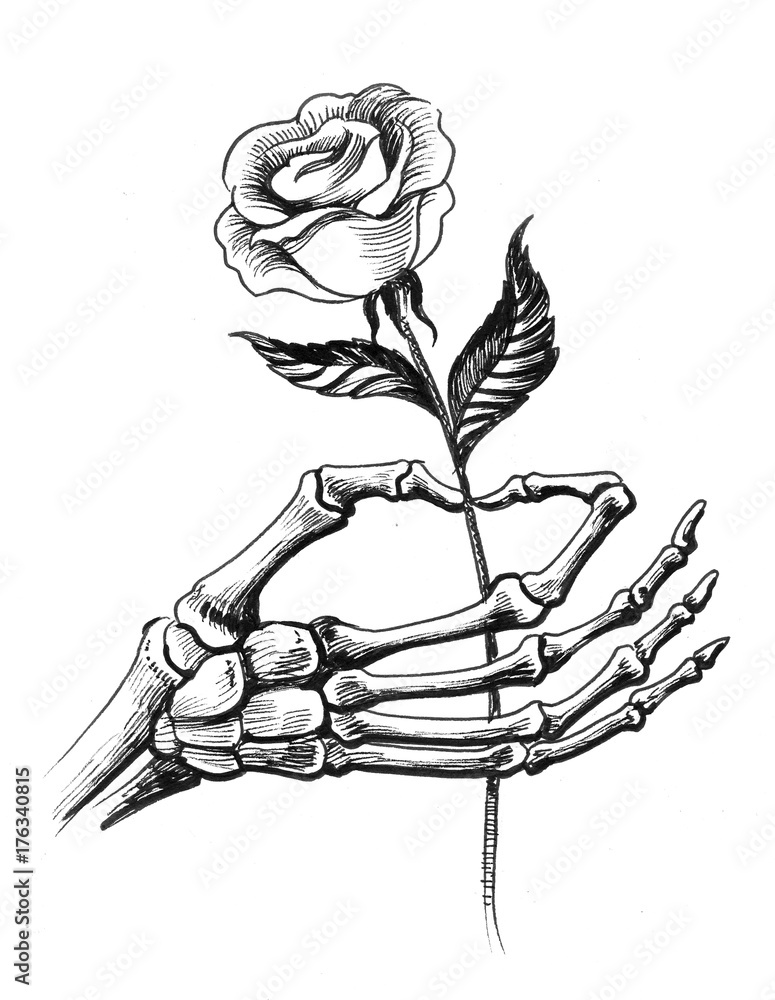Skeleton hand holding a rose Stock Illustration | Adobe Stock