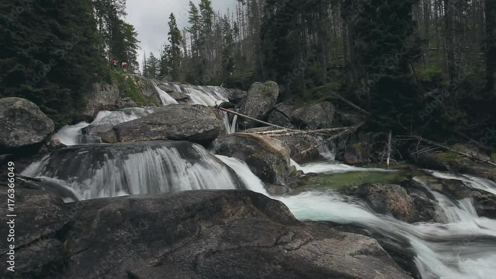 Powerful mountain river with waterfalls in the pine tree forest. High ...