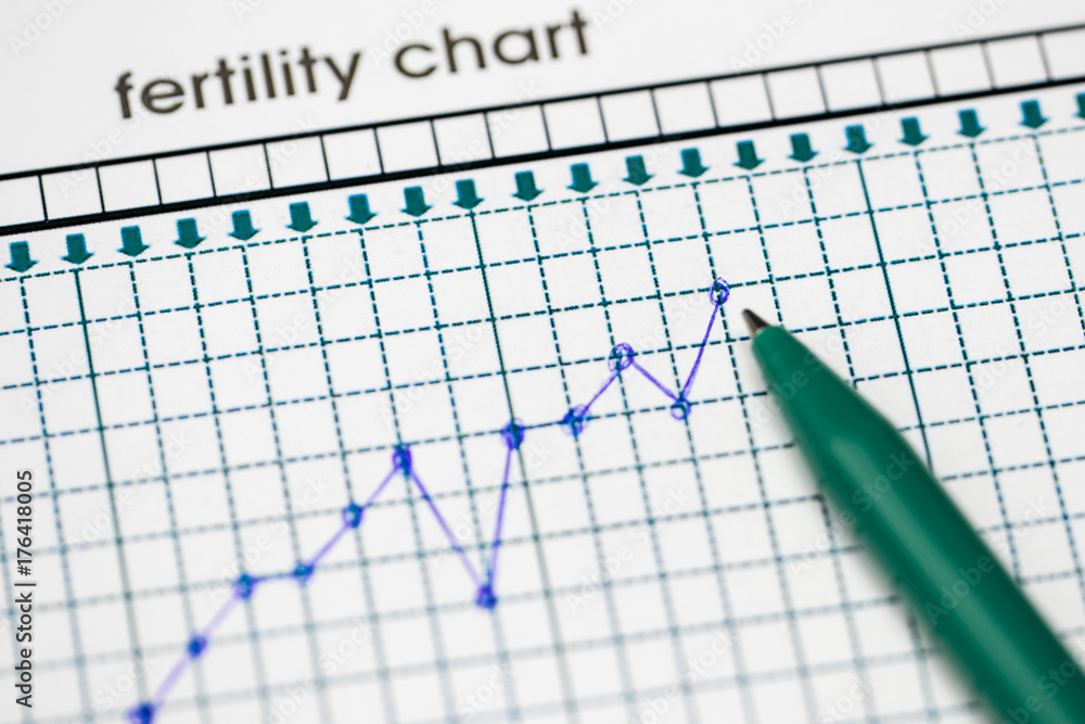 Planning of pregnancy. The fertility chart. Stock Photo | Adobe Stock