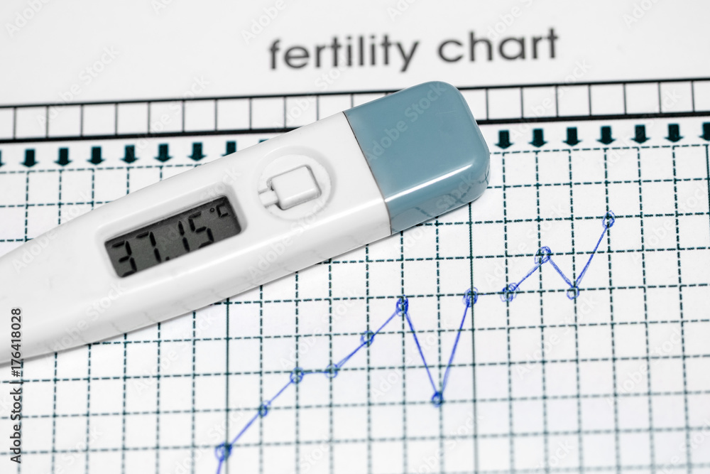 Planning of pregnancy. The fertility chart. Stock Photo | Adobe Stock