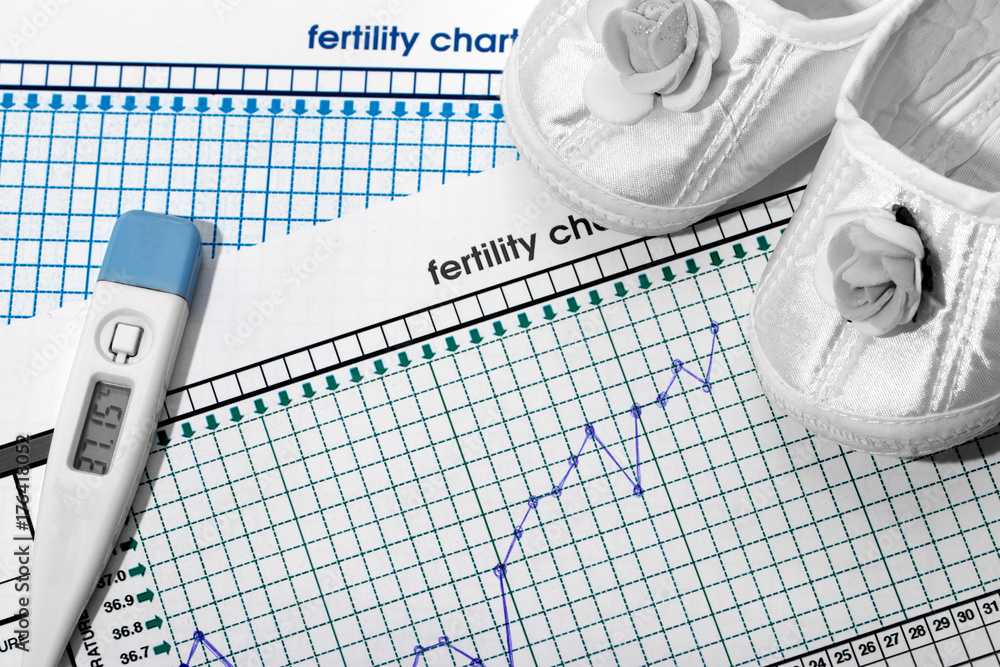Planning of pregnancy. The fertility chart. Stock Photo | Adobe Stock