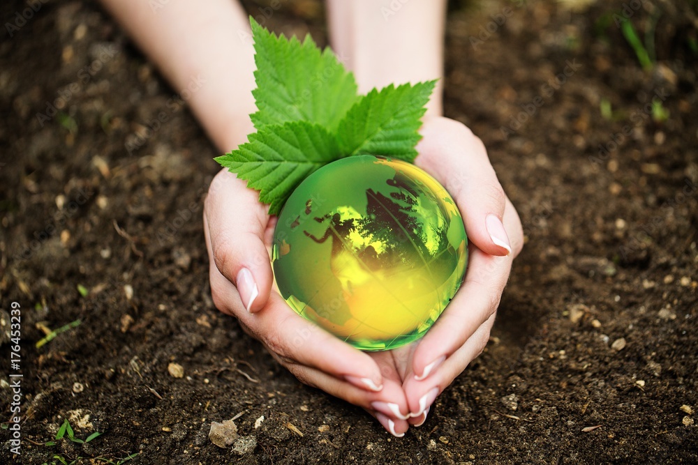 Eco. Stock Photo | Adobe Stock