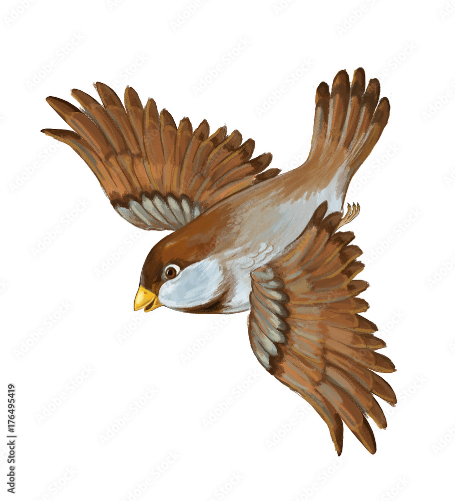 Cartoon animal - sparrow flying - illustration for children Stock ...