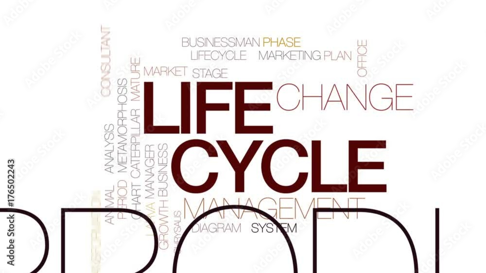 Life cycle animated word cloud, text design animation. Kinetic ...