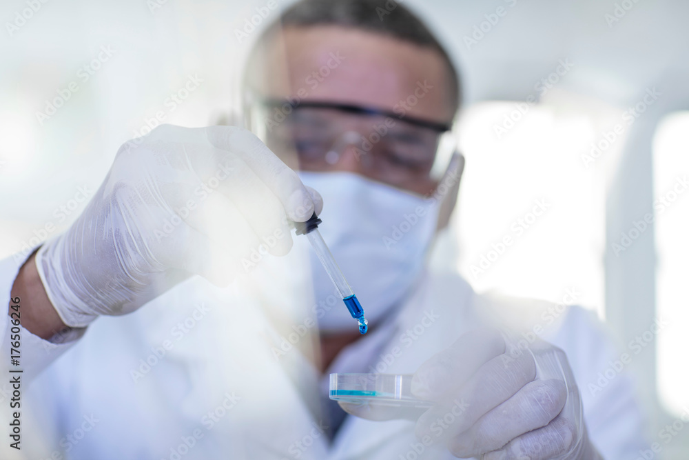Laboratory worker using pipette, dripping liquid into petri dish Stock ...