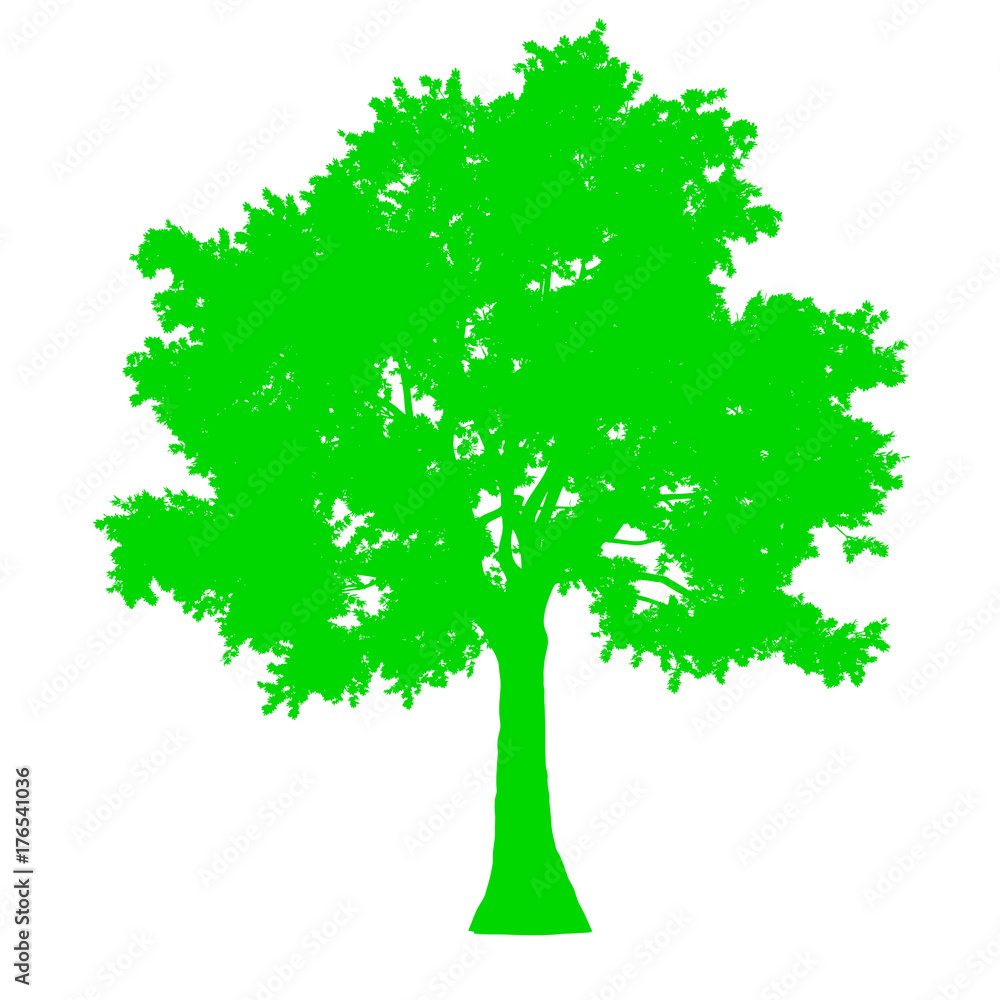 tree side view silhouette isolated - green - vector Stock Vector ...