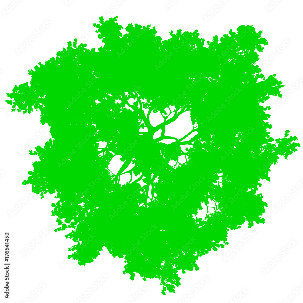 tree top view silhouette isolated - green - vector Stock Vector | Adobe ...