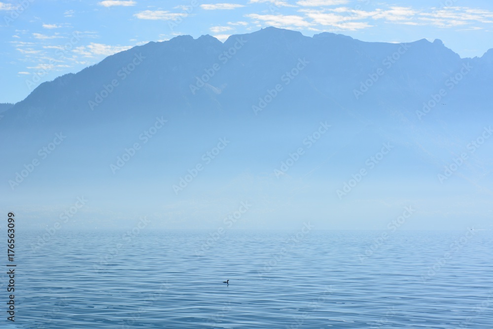 Lago Lemman 8 Stock Photo | Adobe Stock