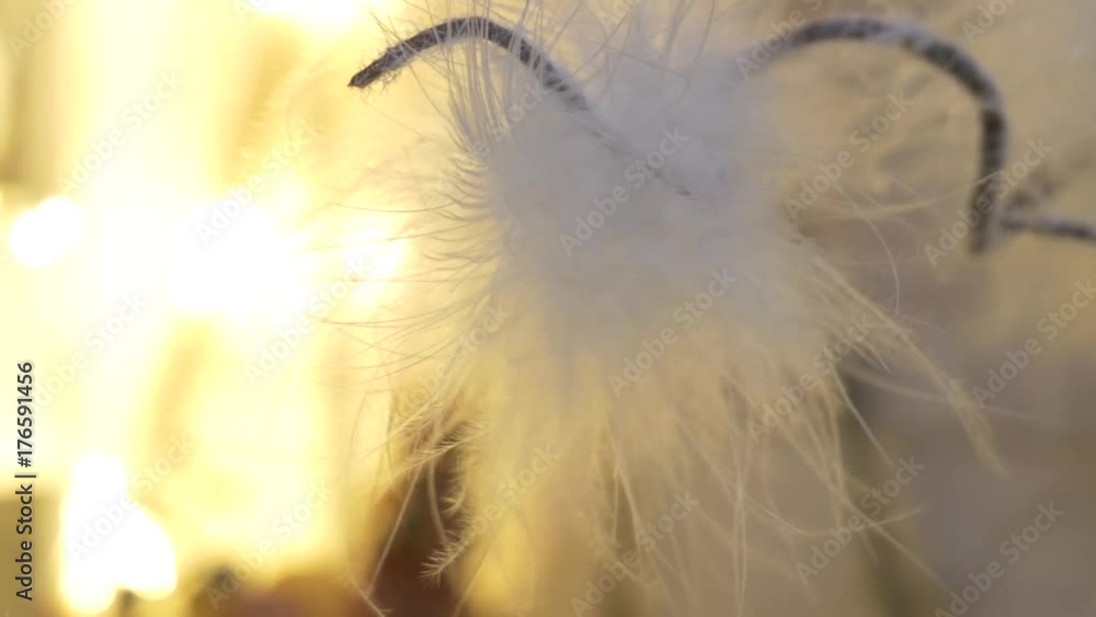 White fluff. Swirl of dust in the air. Stock Video | Adobe Stock