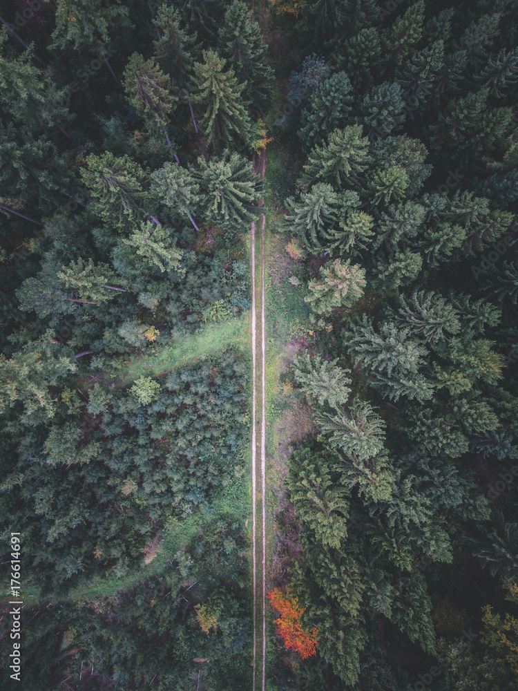 Wald in Vogelperspektive Stock Photo | Adobe Stock