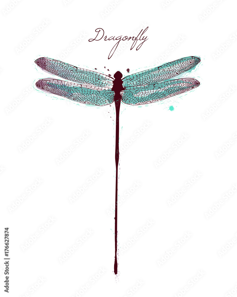 Dragonfly Abstract