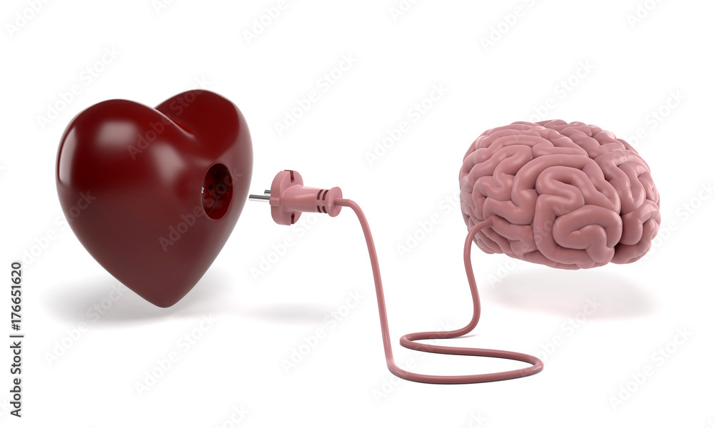 Heart and Brain connected with power plug isolated. Brain and heart ...