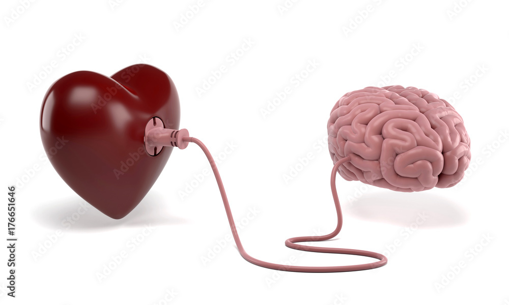 Heart and Brain connected with power plug isolated. Brain and heart ...