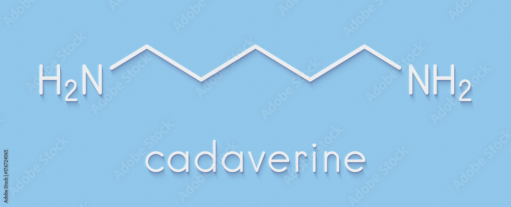 Cadaverine foul smelling molecule. Skeletal formula. Stock Illustration ...