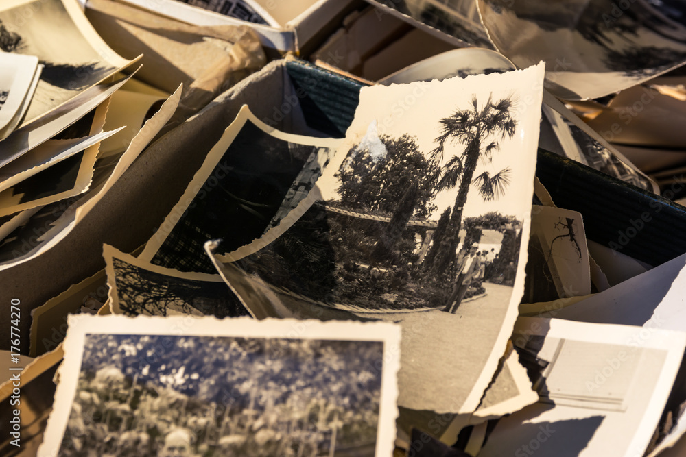 Poster Old Box of Photos Edges Worn Collection Vintage History Family ...