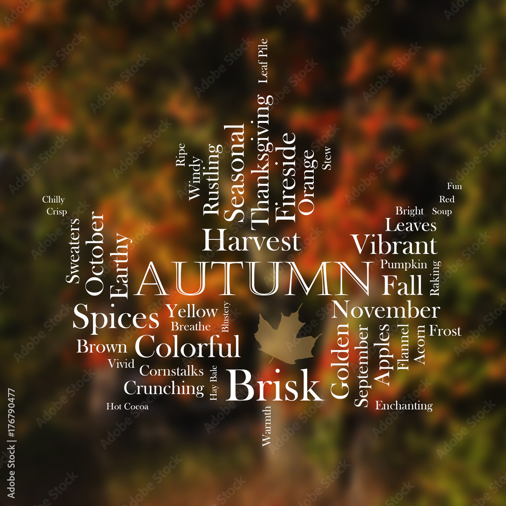 Autumn word cloud in the shape of a leaf; white text with fall colors ...