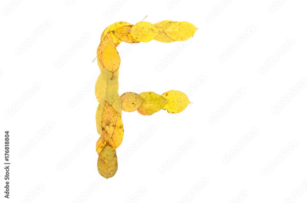 Letter F made of autumn fallen leaves isolated on white. Alphabet ...