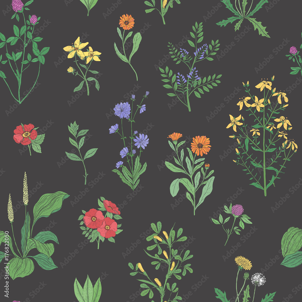 Beautiful floral seamless pattern with meadow herbs on black background. Gorgeous wild flowers ...