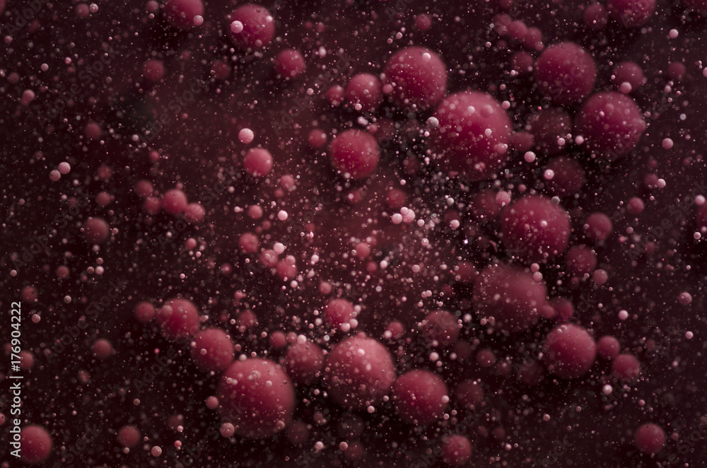 Red blood cells under microscope Stock Photo | Adobe Stock