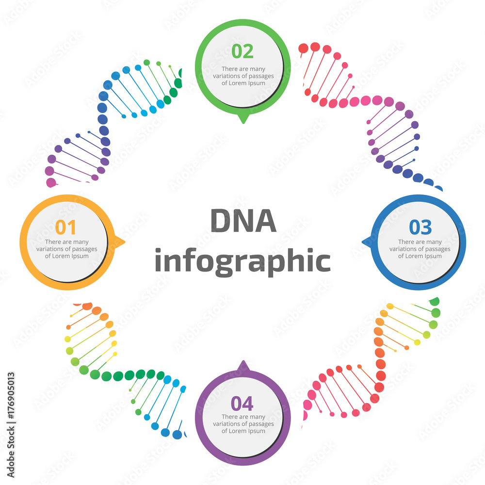 Abstract infographic DNA ,can be used for workflow layout, diagram ...