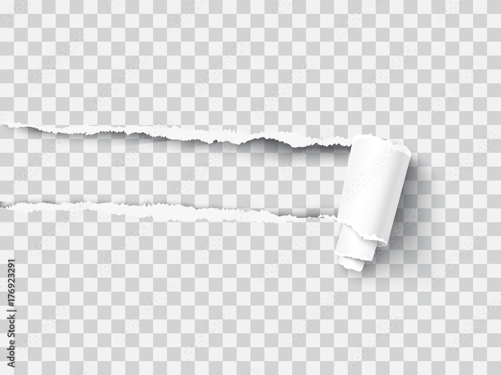 Torn paper realistic vector illustration Stock Vector | Adobe Stock