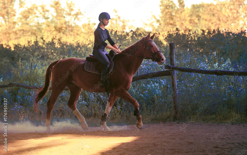 Young pretty girl riding a horse with backlit leaves behind Stock-Foto ...