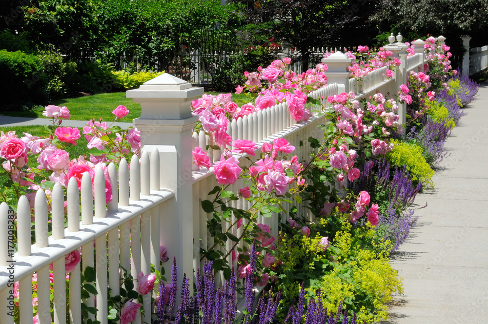 White Picket Fence Garden
