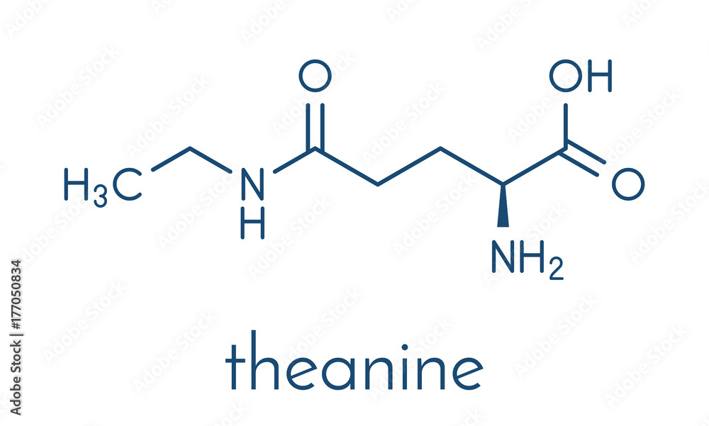 Theanine herbal molecule. Constituent of tea prepared from Camellia ...