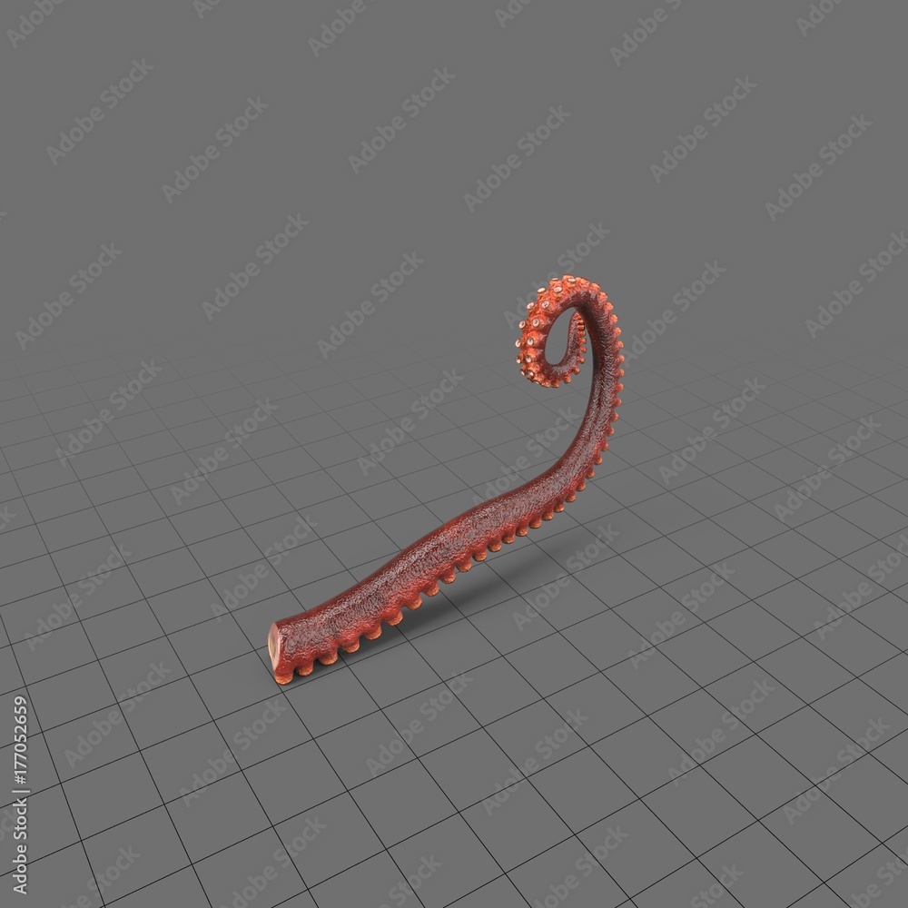 Curled octopus tentacle Stock 3D アセット | Adobe Stock