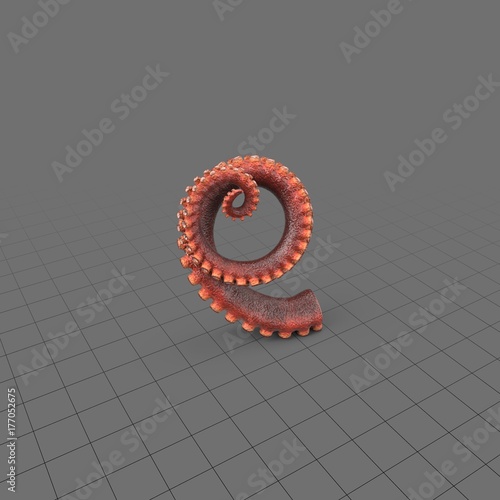 Octopus tentacle in a spiral Stock 3D asset | Adobe Stock
