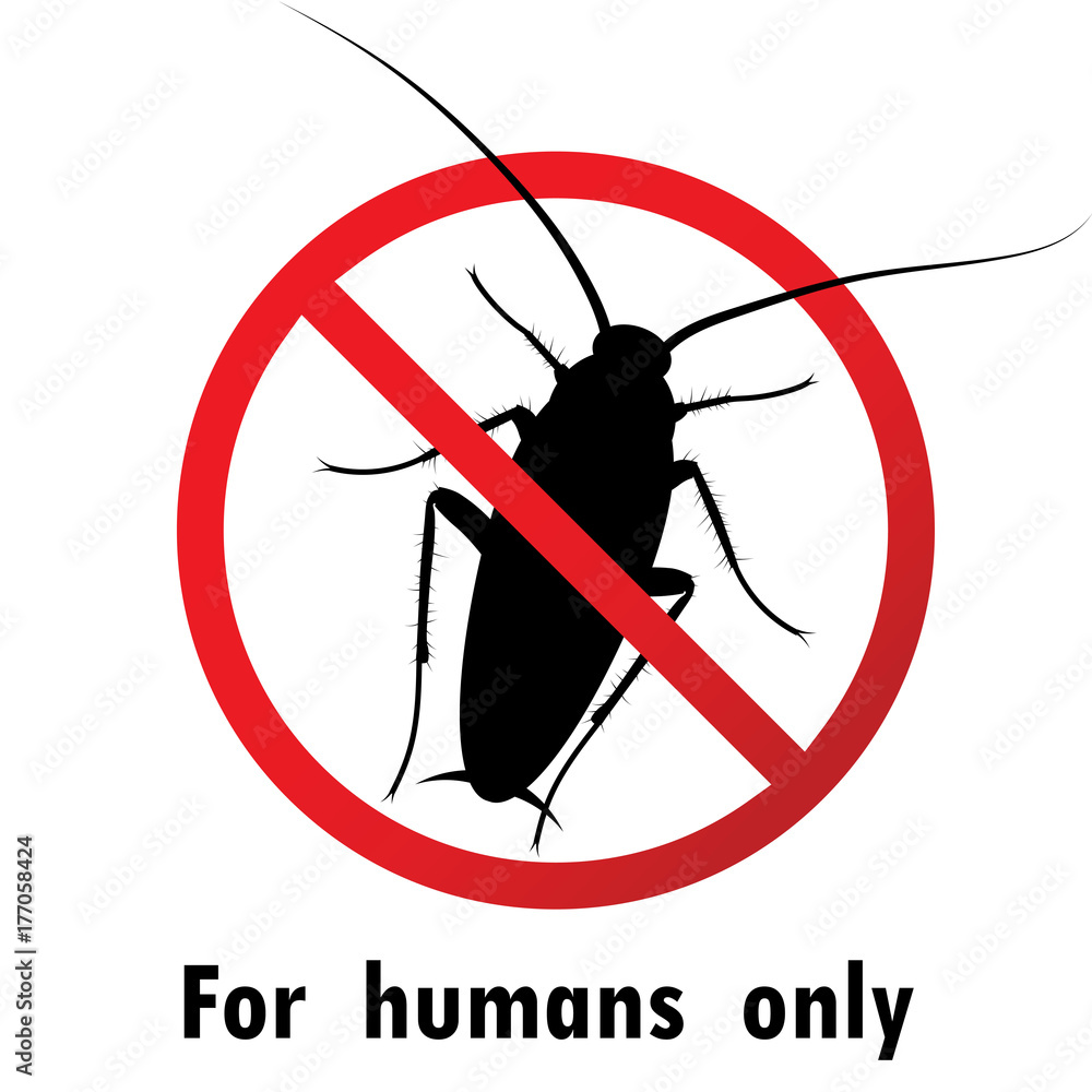 Cockroaches and Stop cockroach sign symbols vector design Stock Vector ...
