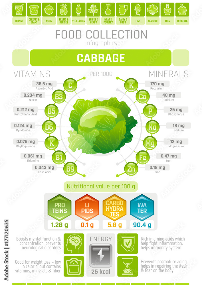 Food infographics poster, cabbage vegetable vector illustration ...