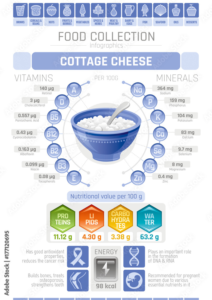 Food infographics poster, cottage cheese dairy vector illustration ...