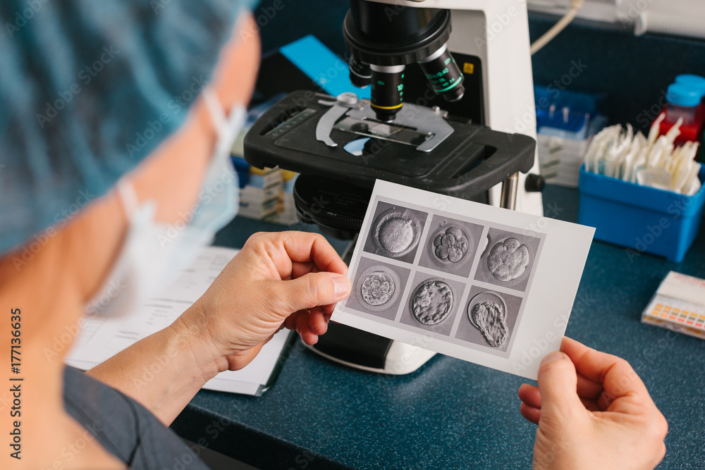 Biologist Looking at Embryos Photos in the Laboratory Stock Photo ...