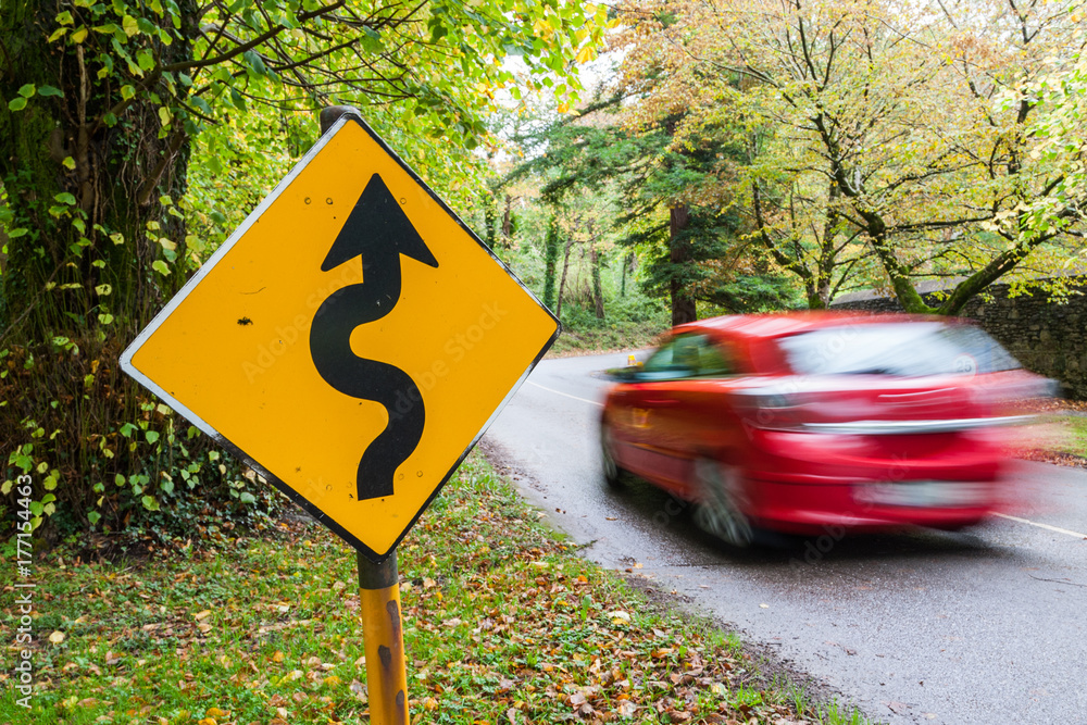 Curvy Road Car Sign