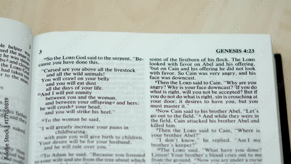 Open holy bible on sunday readings. Concept of wisdom, religion ...