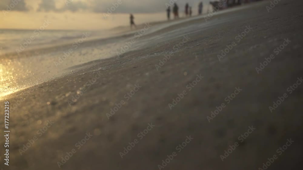 newborn turtle sweep sea wave, shot from water, clouse up turtle ...