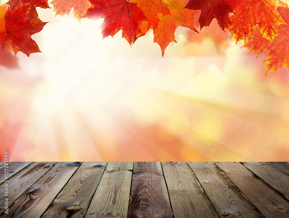 Autumn Background with Fall Leaves, Abstract Light Steam and Empty ...