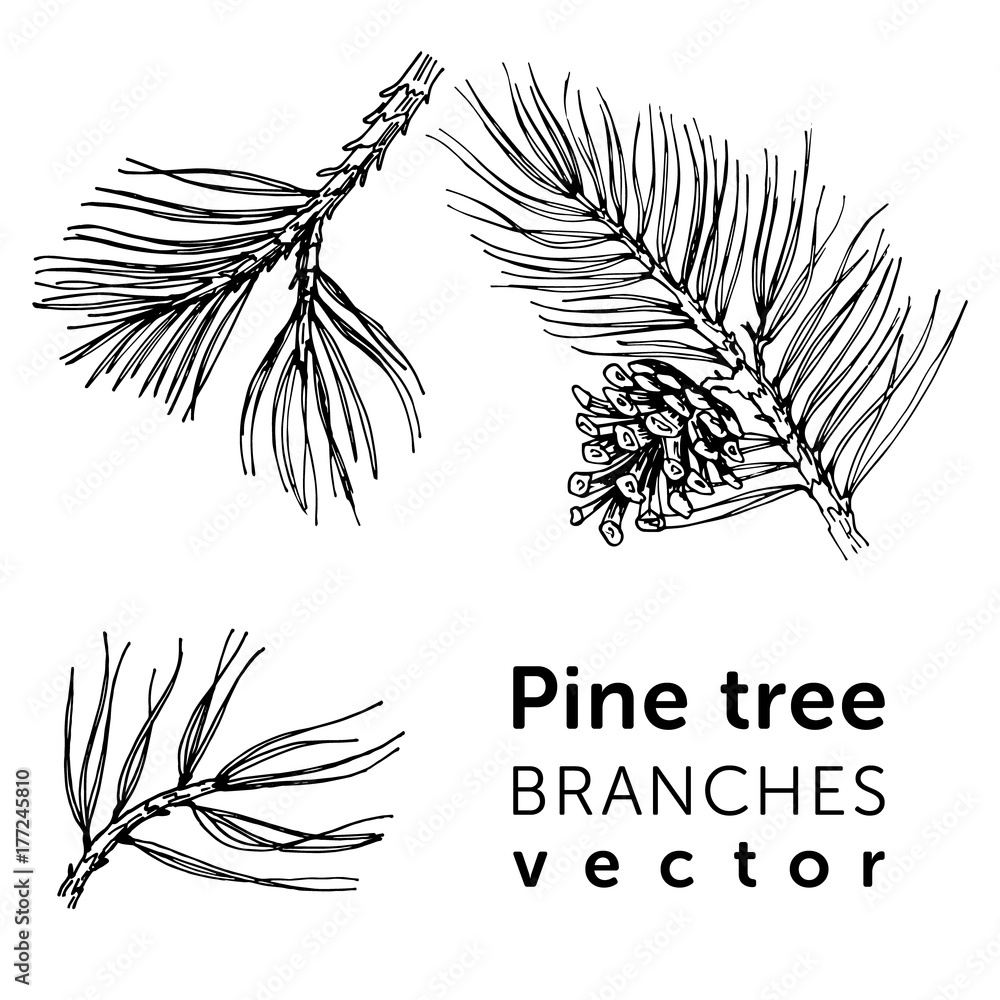 Simple Tree Branch Design