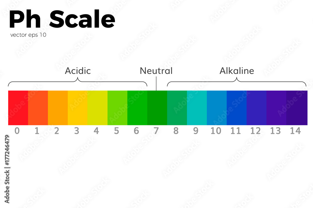 ph scale chart vector Stock Vector | Adobe Stock